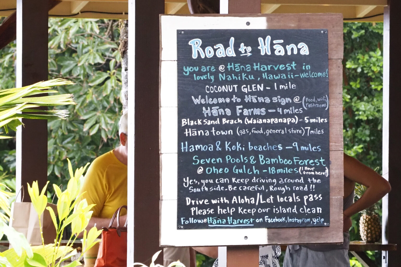 Best Stops on Maui's Road to Hana (with Map) - Wanderful Plans