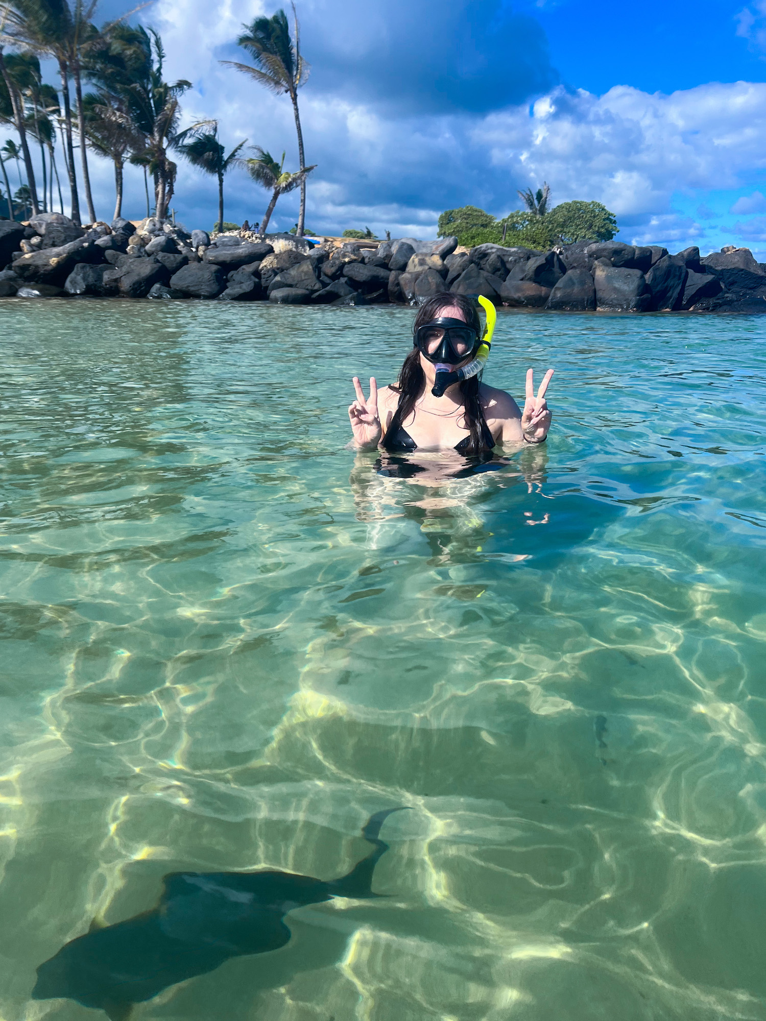 Lydgate Beach: Best Snorkeling Beach in Kauai's East Shore - Wanderful ...
