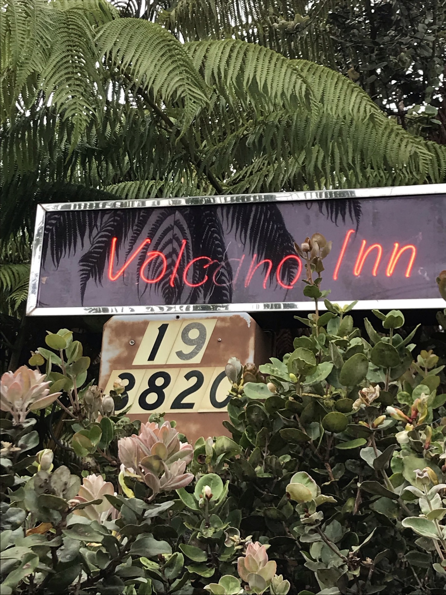Day Trip to Hawaii Volcanoes National Park Itinerary - Wanderful Plans