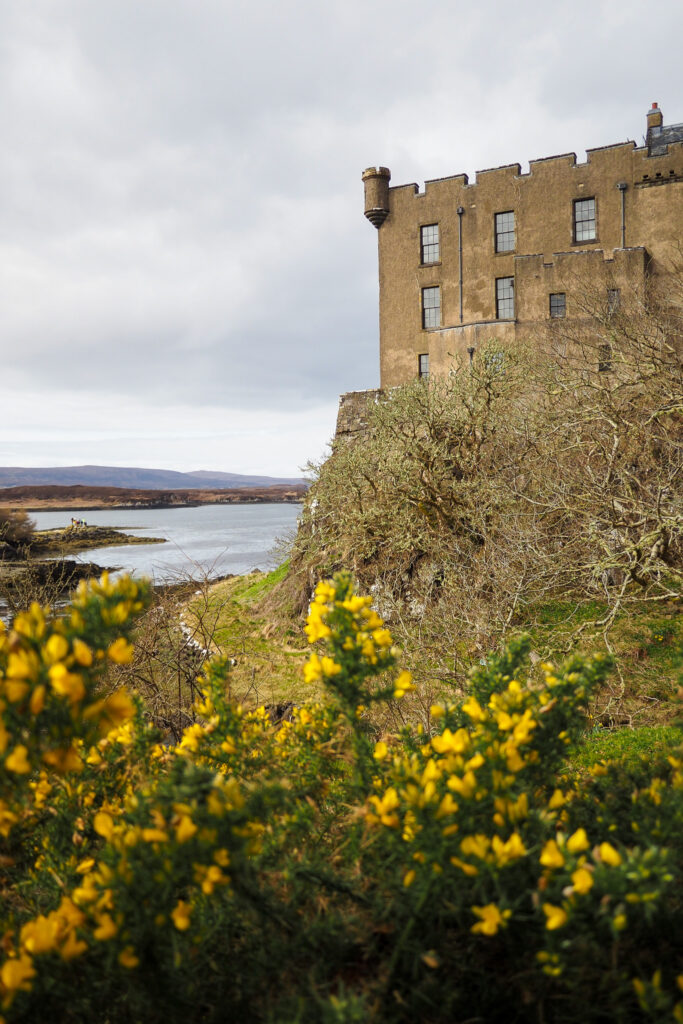 Guide to Visiting Dunvegan Castle on Isle of Skye - Wanderful Plans