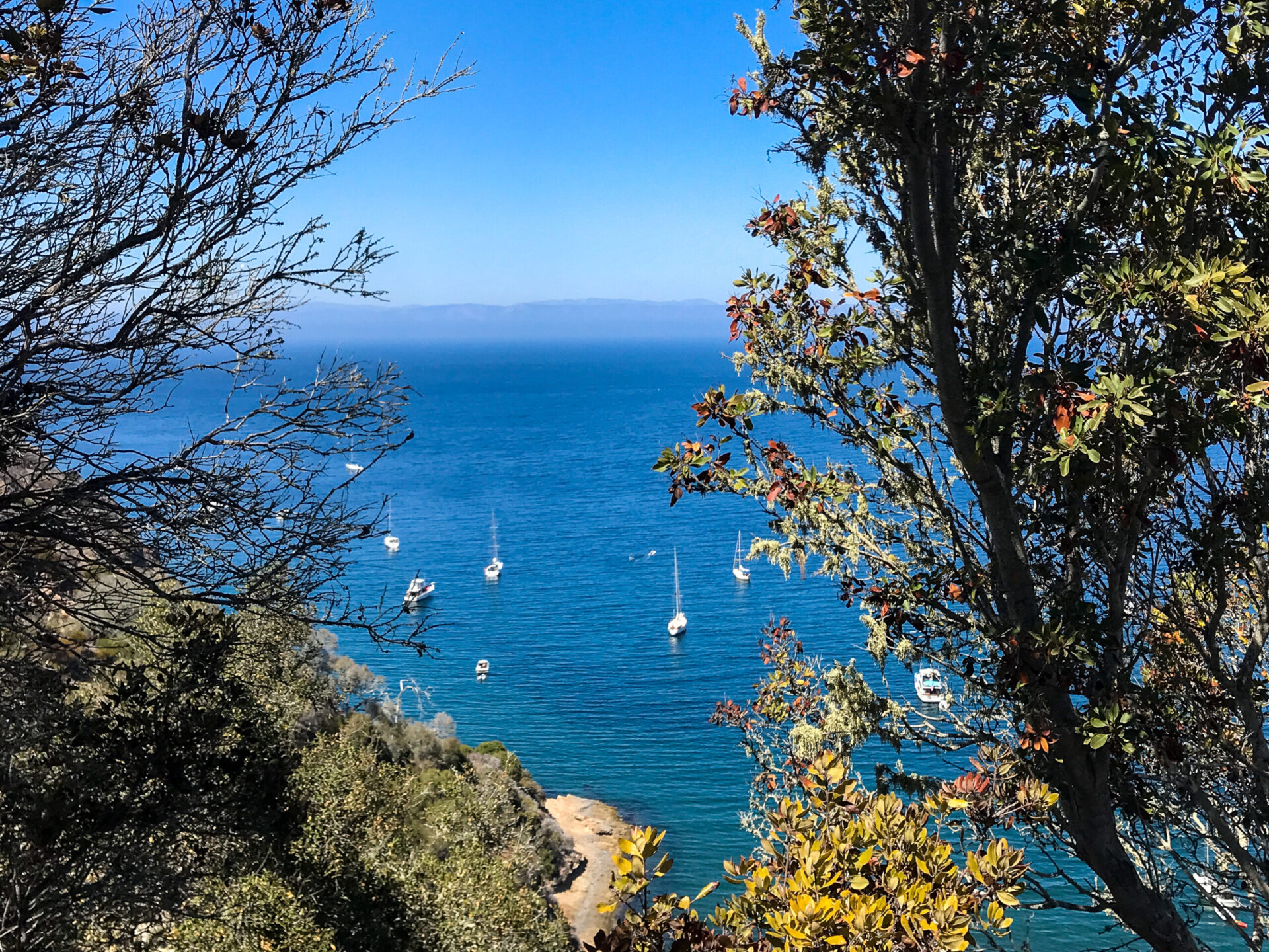 Day Trip to Channel Islands National Park - Wanderful Plans