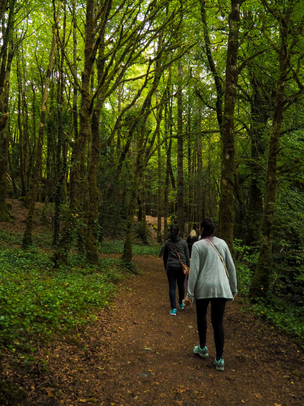 13 Best Things to Do in Ireland's Galway County - Wanderful Plans