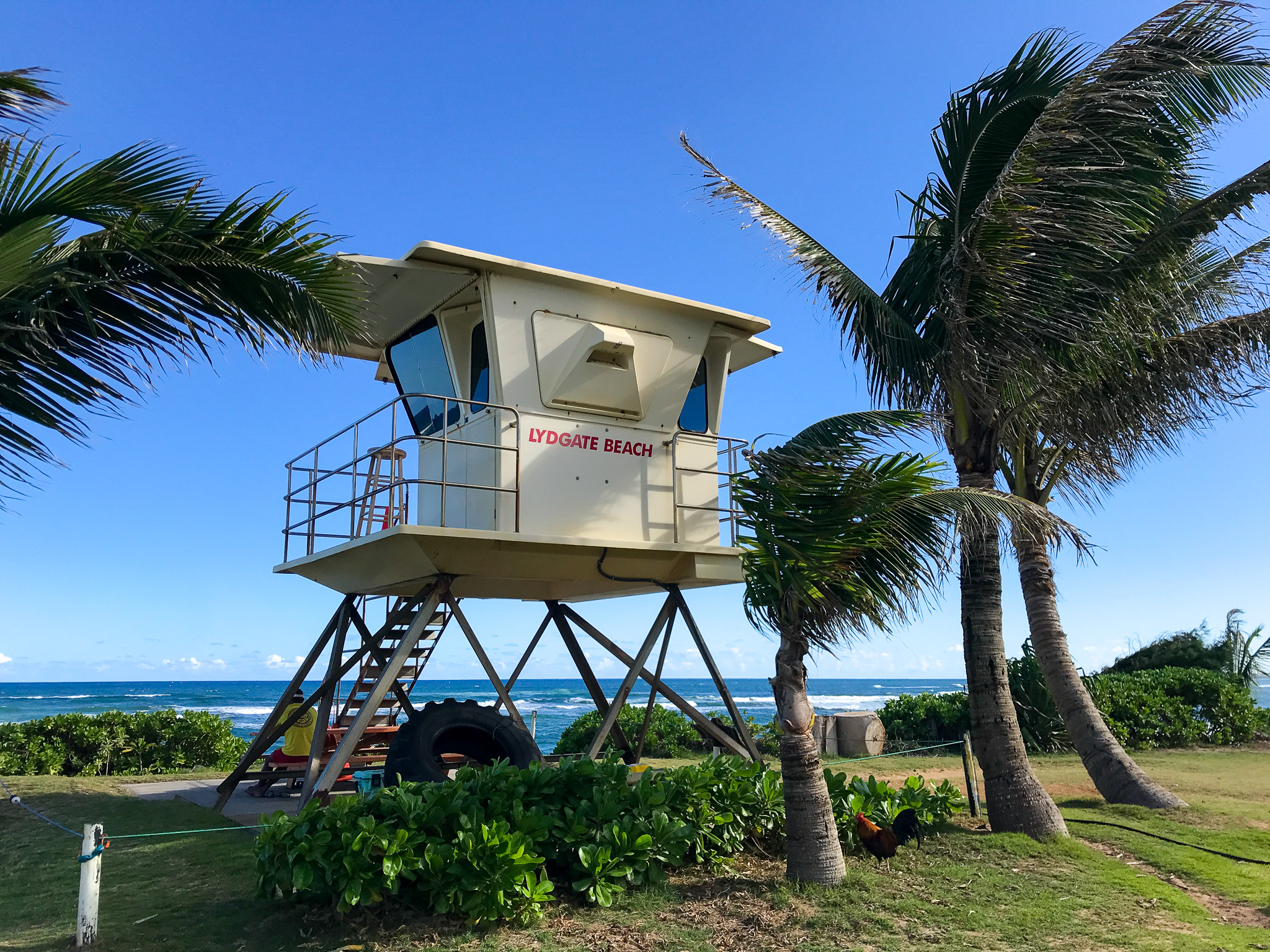 Lydgate Beach: Best Snorkeling Beach in Kauai's East Shore - Wanderful ...