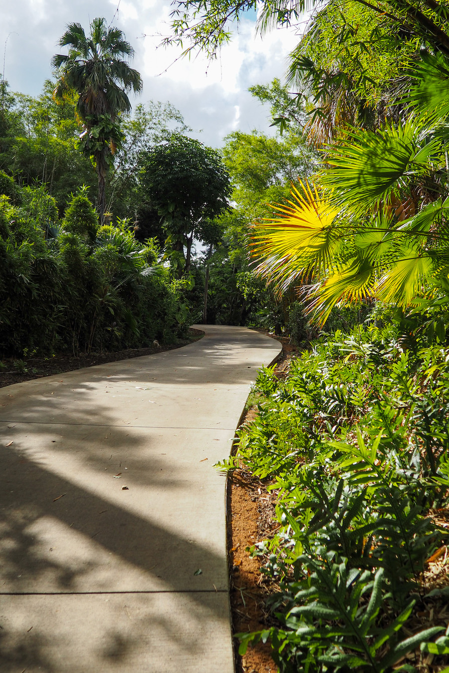 22 Cheap and Free Things to Do in Kauai - Wanderful Plans