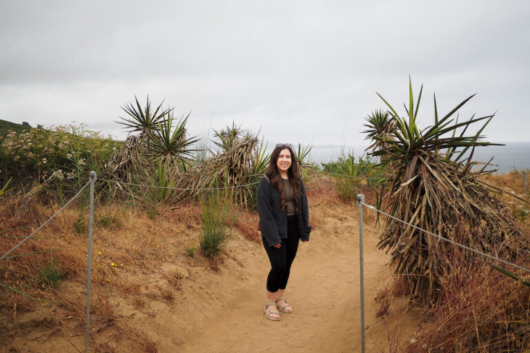 Guide to the Torrey Pines Hiking Trails (I've Hiked All) - Wanderful Plans
