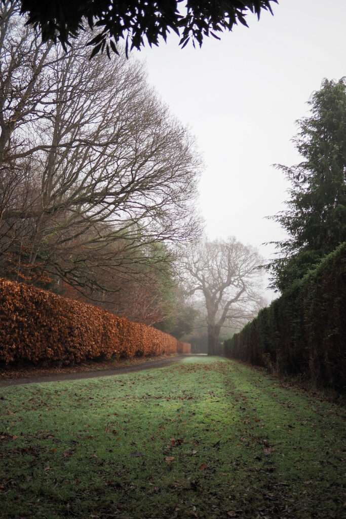 Guide to Visiting Pollok Country Park in Glasgow Scotland - Wanderful Plans