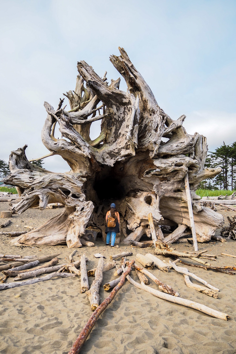 4 Days in Olympic Peninsula Itinerary (with Map) - Wanderful Plans
