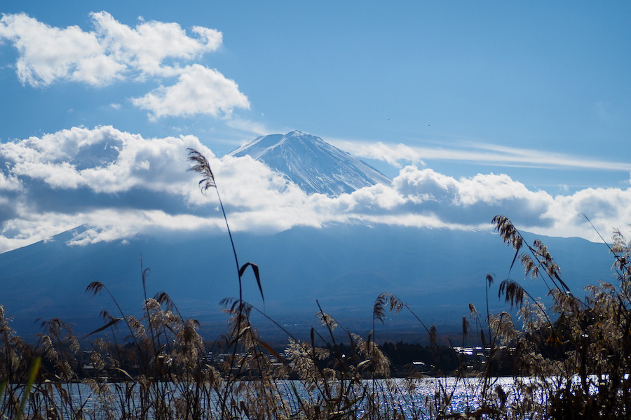 How to Plan a Day Trip to Mt Fuji from Tokyo - Wanderful Plans
