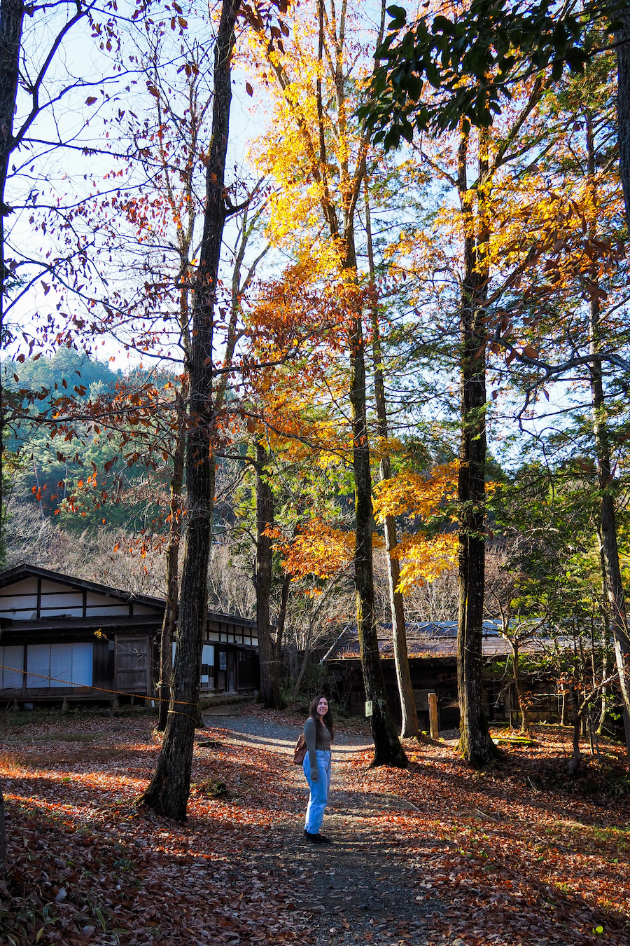 Guide to Visiting Hida Folk Village in Takayama Japan - Wanderful Plans